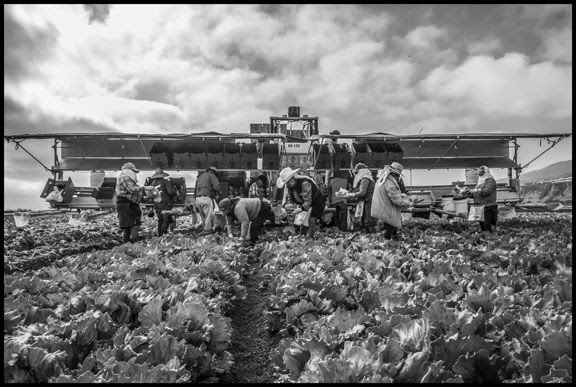 An immigrant woman takes charge of the United Farm Workers – People's World