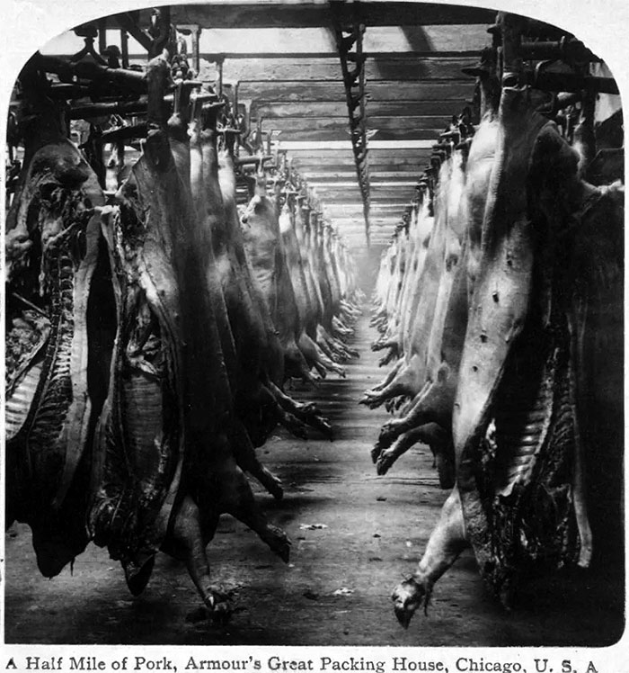 Trump pork processing edict is making consumers and workers sick ...
