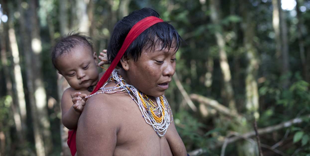 Coronavirus report from Brazil: Yanomami mothers beg for their babies ...