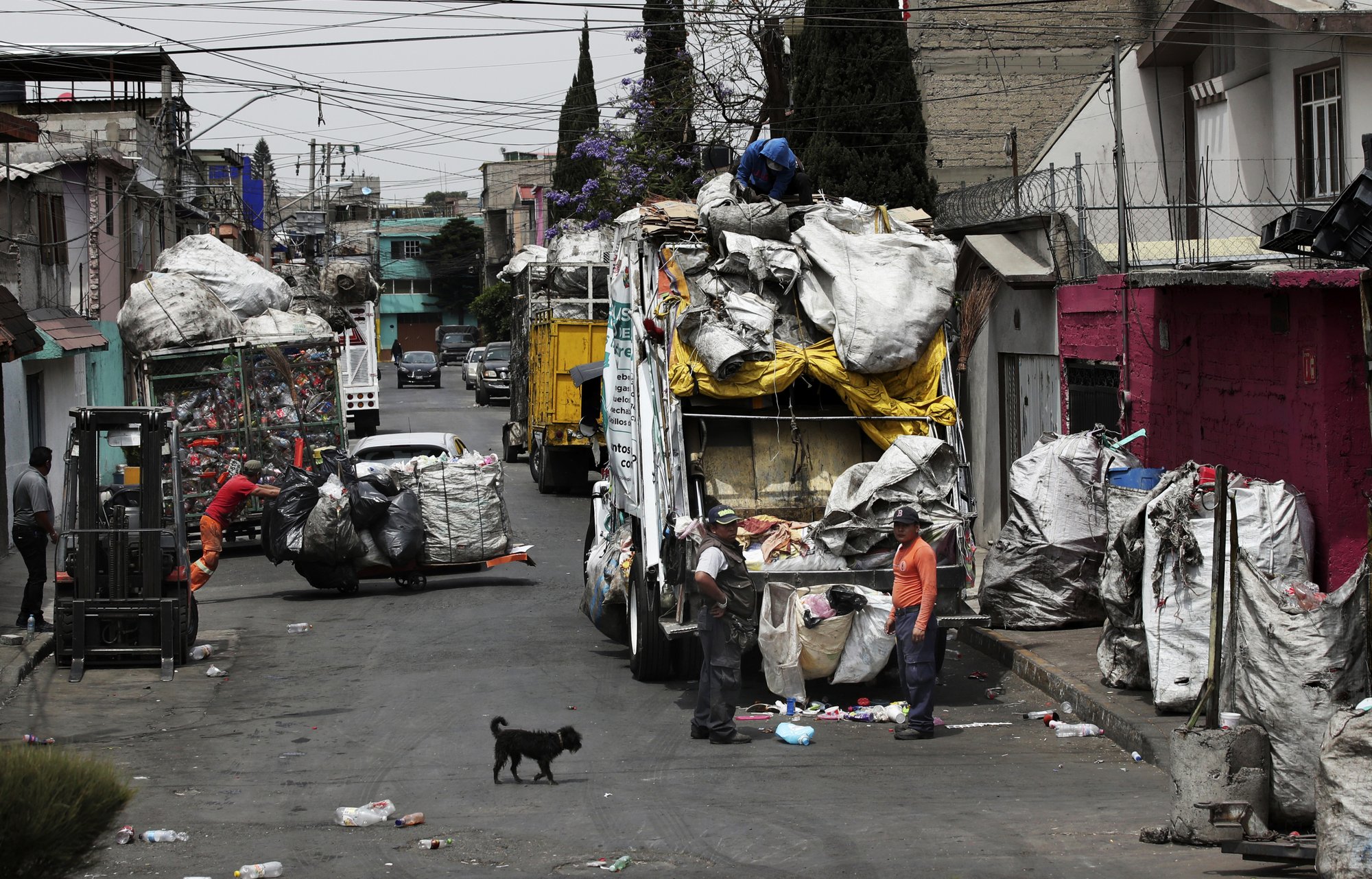 Impoverished scavengers fight our trash problem, but they’re denied ...