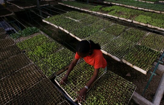 Farm solidarity: Lessons to learn from Cuba’s regenerative agriculture ...