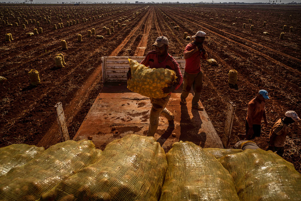 Farm solidarity: Lessons to learn from Cuba’s regenerative agriculture ...