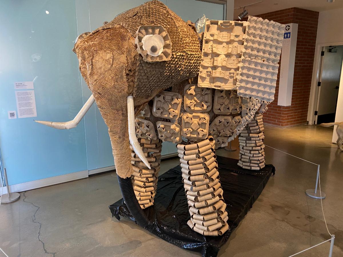 The art of disability culture: Dispelling myths, dissolving barriers ...