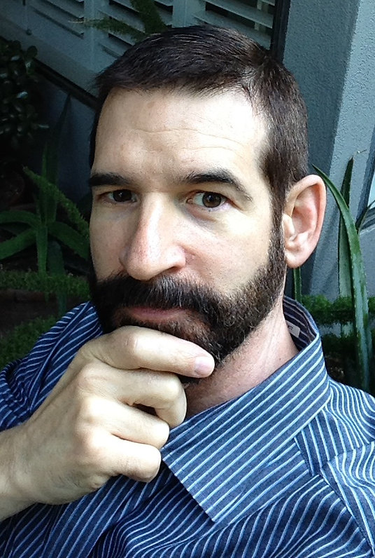 ‘The Red Raven’: A quartet of crime fiction novels ends in AIDS-era L.A ...