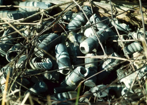 The same depleted uranium munitions that poisoned Iraq now headed to ...