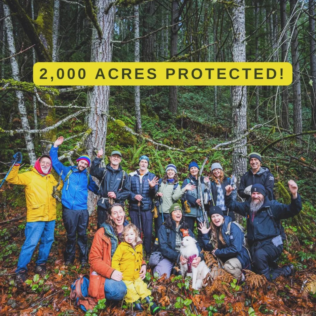 Washington State tree lovers celebrate forest preservation victories ...