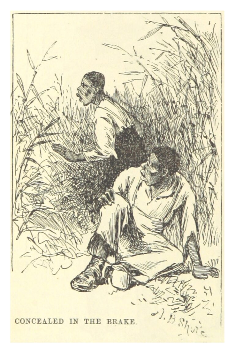 Mark Twain (1835-1910), anti-imperialist thinker for all time – People ...