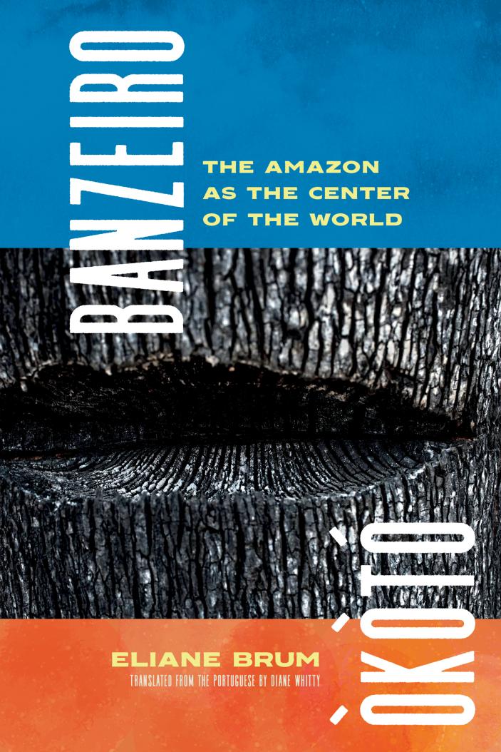 ‘Banzeiro Òkòtó: The Amazon as the Center of the World’: A review essay ...