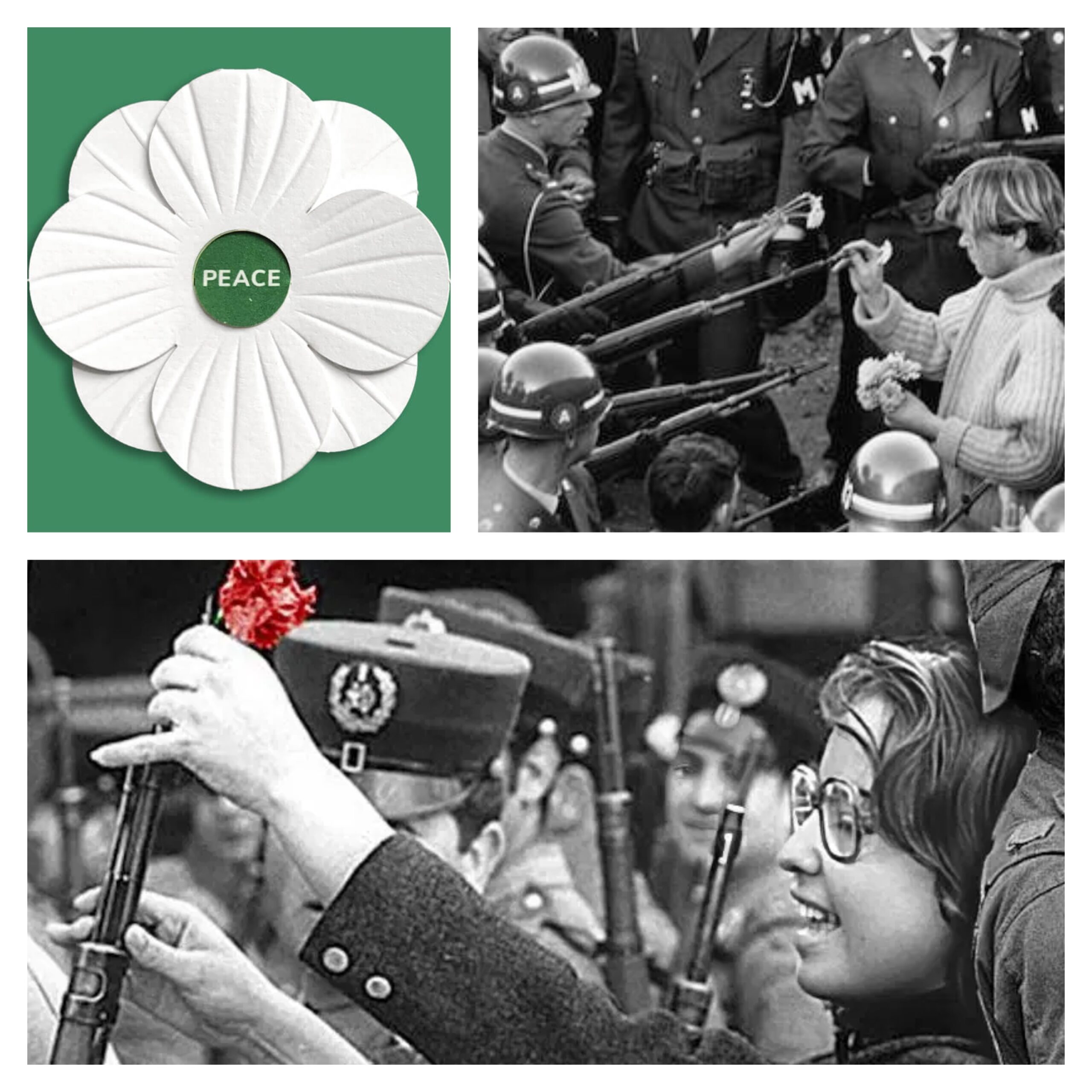 Let the flowers bloom: Interview with Veterans For Peace leader Michael ...