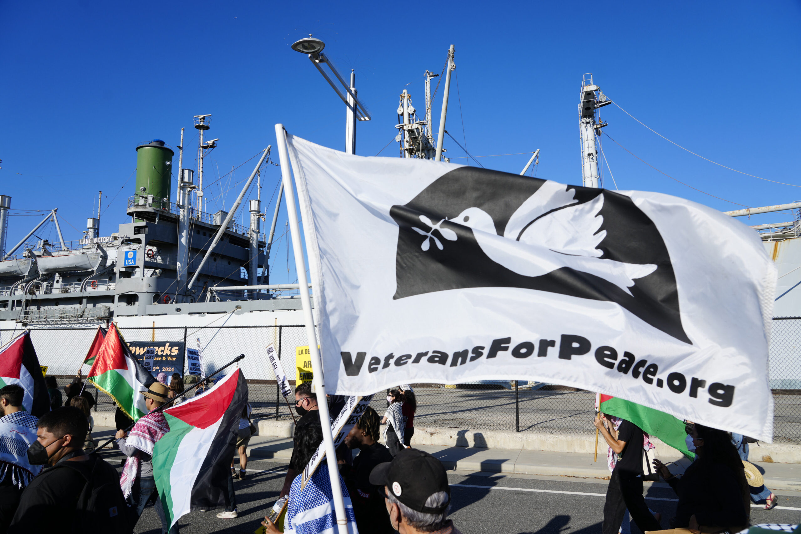 Let the flowers bloom: Interview with Veterans For Peace leader Michael ...