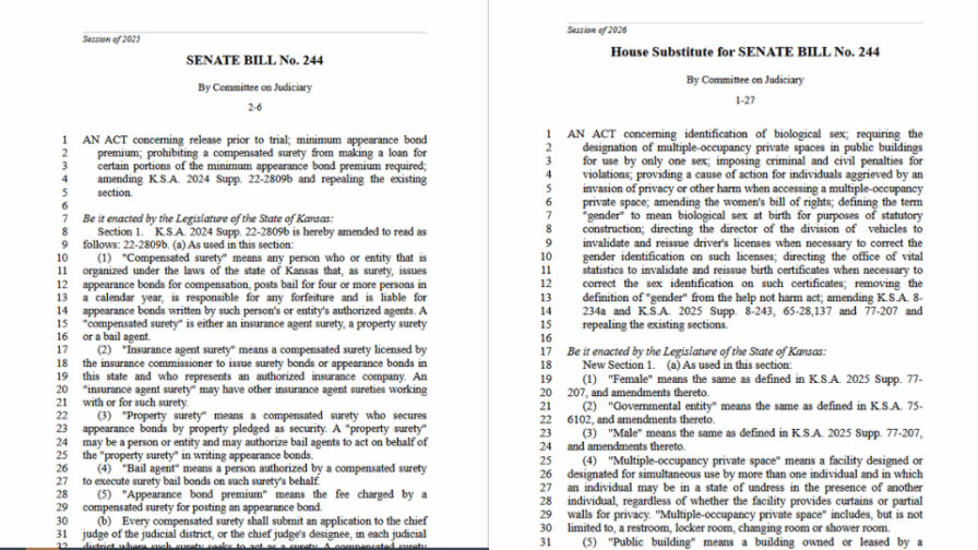 Kansas invalidates trans people’s driver’s licenses – People's World